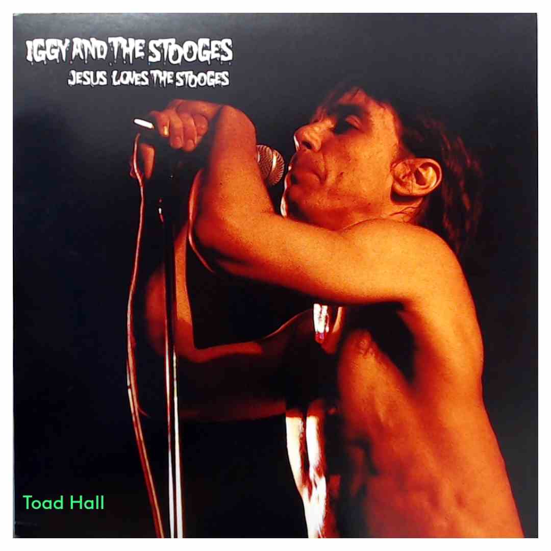 Iggy & The Stooges - Jesus Loves The Stooges - Used Vinyl