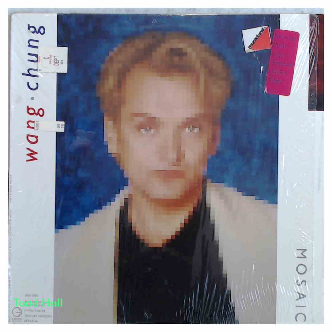 WANG CHUNG Mosaic Used Vinyl LP