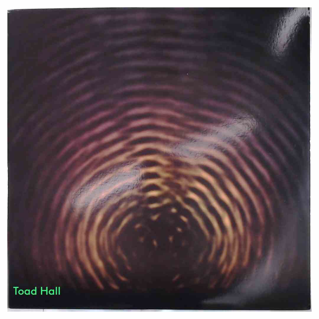 JAKE BELLOWS New Ocean Used Vinyl LP