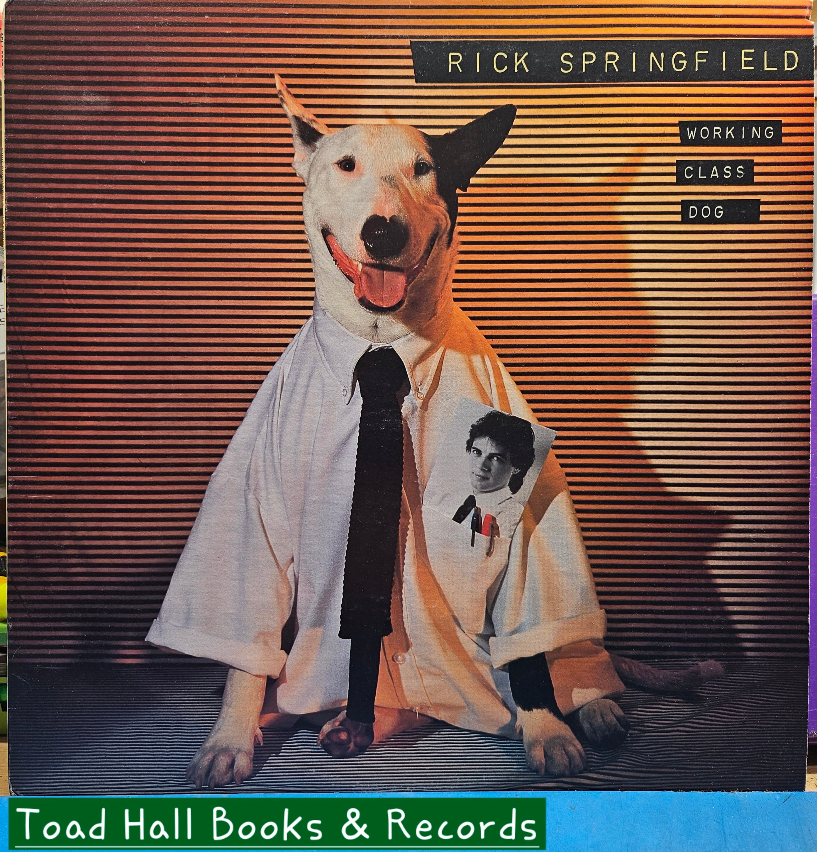 Rick Springfield Working Class Dog Used Vinyl LP